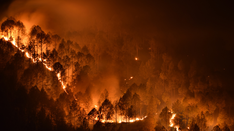 North Carolina Wildfire Map: Saluda, Tyron, And Croatan National Forest ...