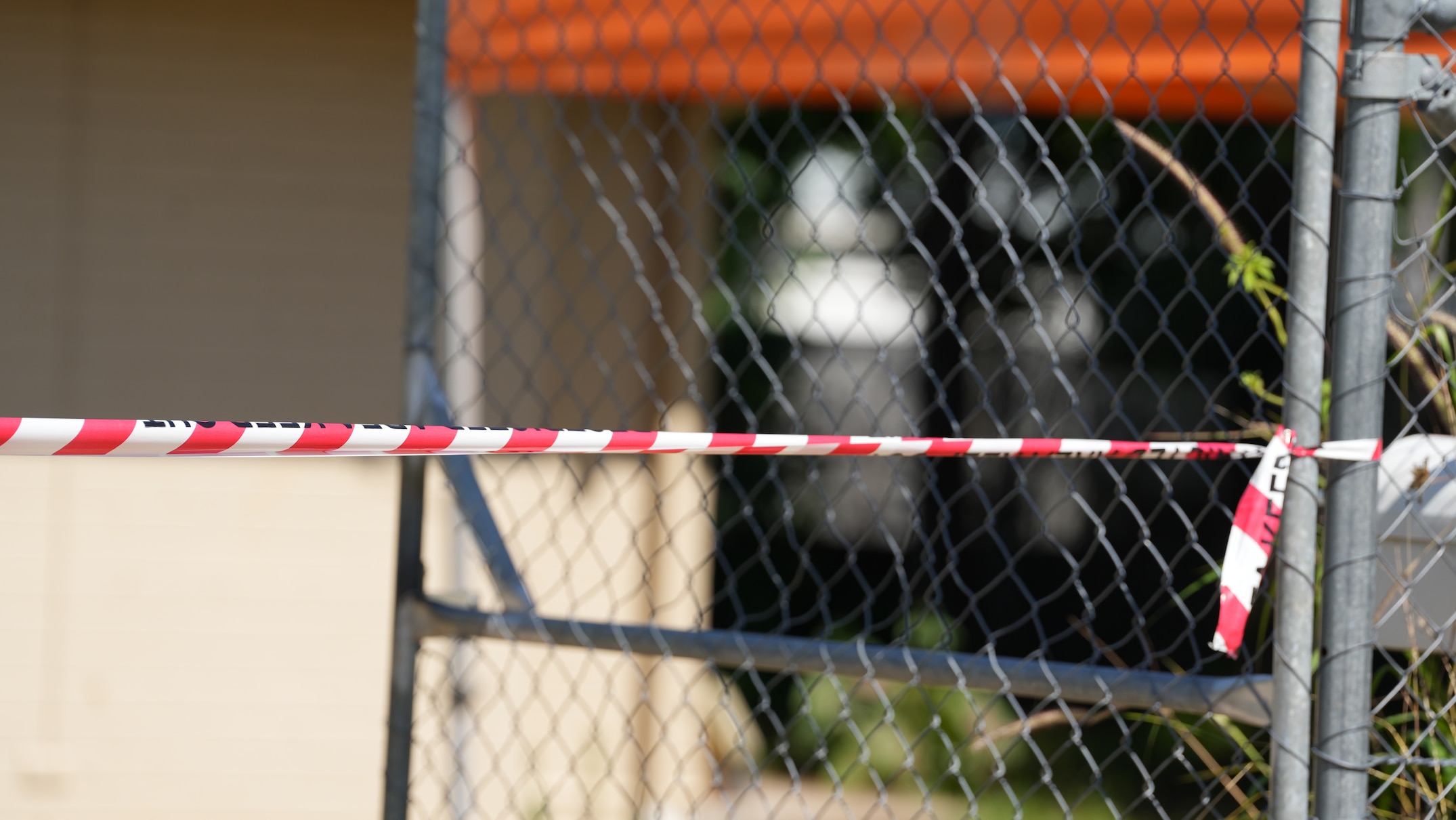 Woman, 31, charged with murder over alleged domestic violence-related ...