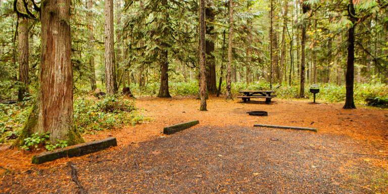 Top Camping Apps for Free Dispersed Campsites: Your Boondocking Guide