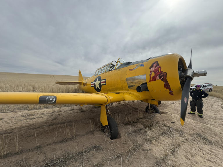 NTSB investigates deadly plane crash in Elbert County as 2nd plane ... NTSB investigates deadly plane crash in Elbert County as 2nd plane ...