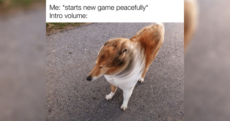 A Peck of Pickled Memes Ready for Peter Piper to Pick