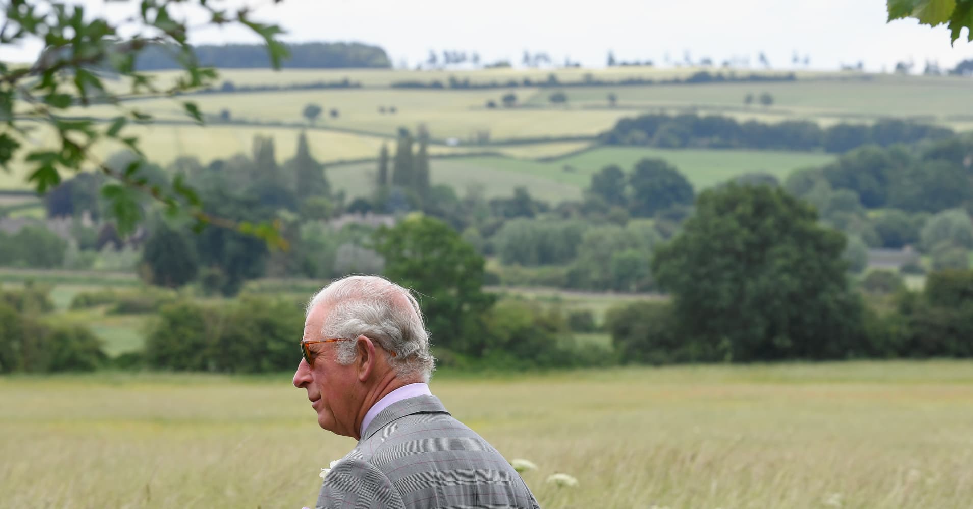 From crop rotation to 'mob-grazed' livestock: Inside the sustainable ...