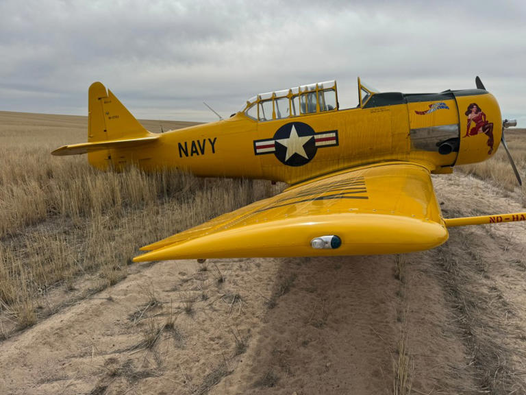 NTSB investigates deadly plane crash in Elbert County as 2nd plane ...