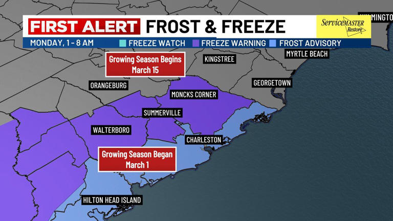 Lowcountry counties upgraded to freeze warning, frost advisory