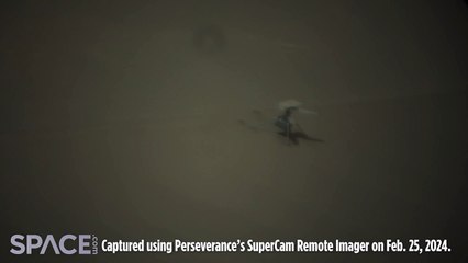 Mars Helicopter Ingenuity Appears To Be Missing Rotor Blades From The ...