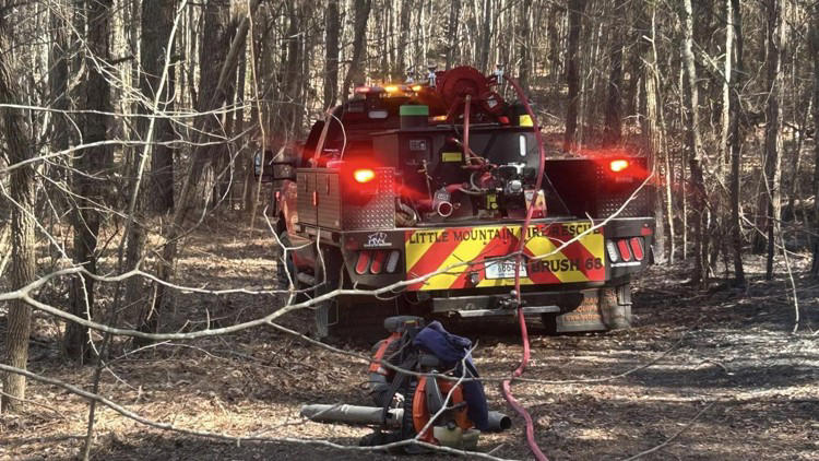 As wildfires grip South Carolina, governor warns: Burn and you’ll go to jail