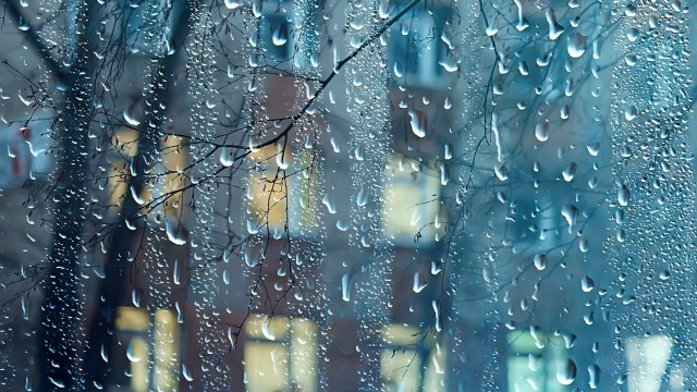 Scientists uncover troubling health risks that can occur after rainfall ...