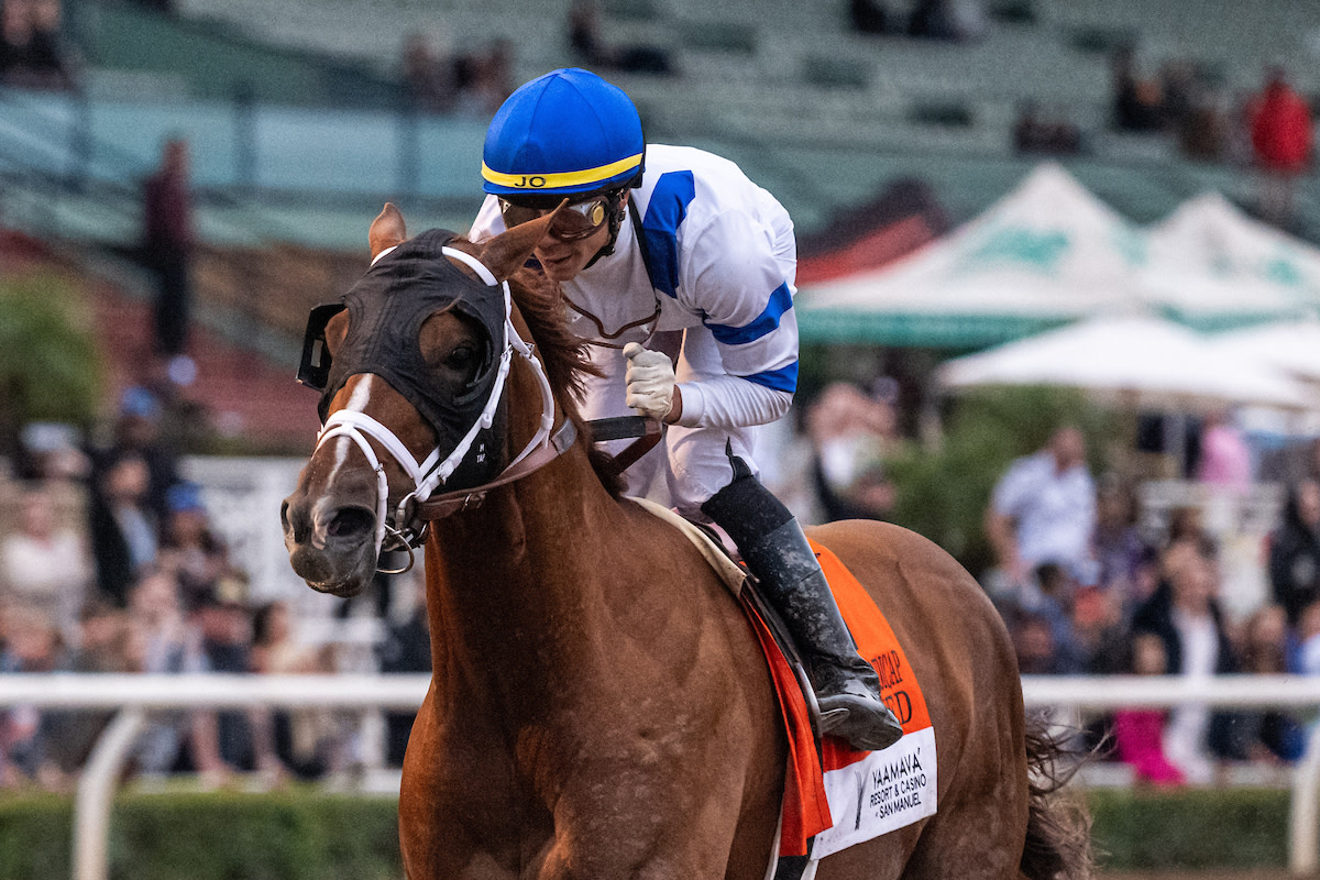 'It's Possible': East Coast-Based Big 'Cap Winner Locked Could Return ...