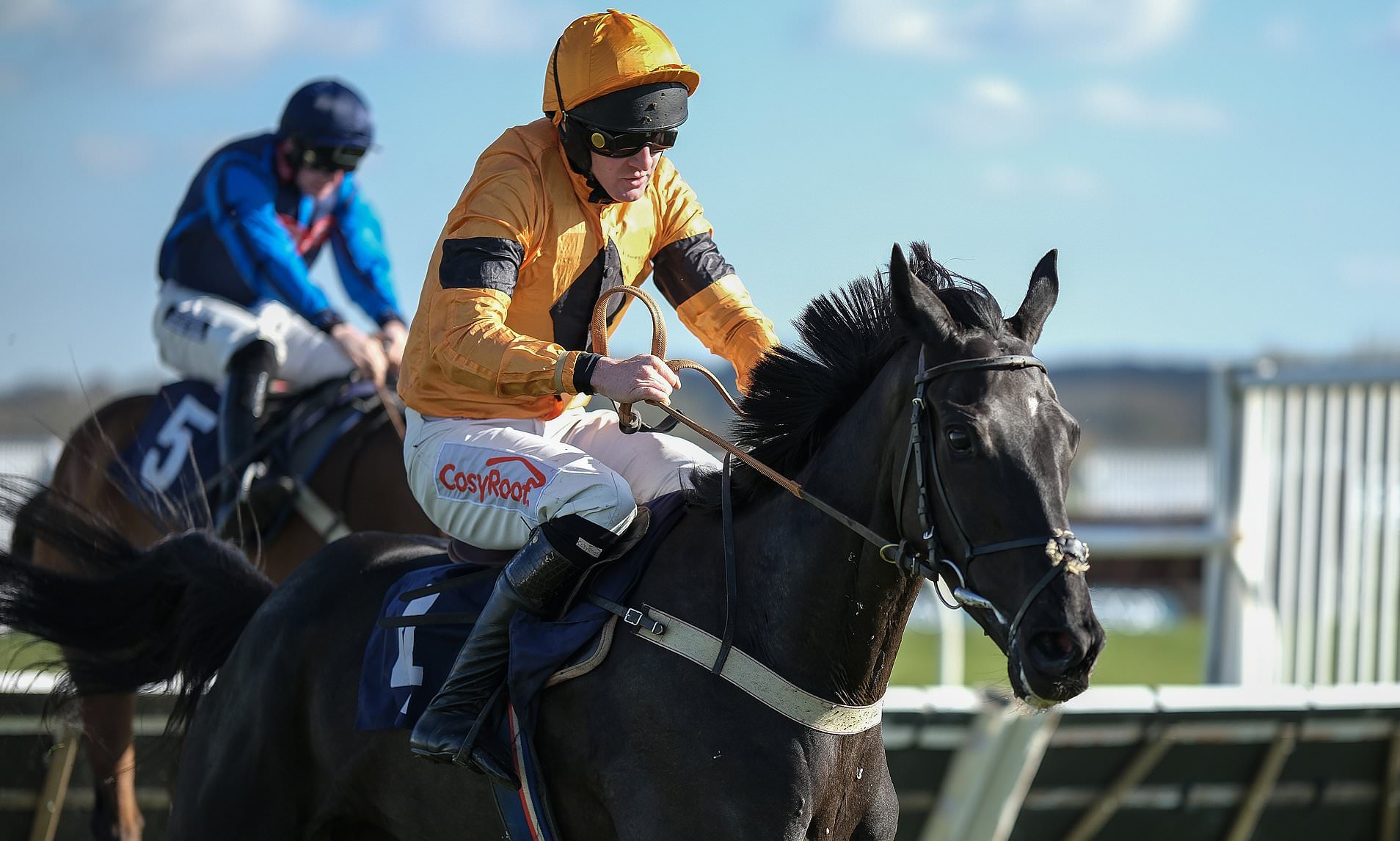 Robin Goodfellow's racing tips: Best bets for Monday, March 3