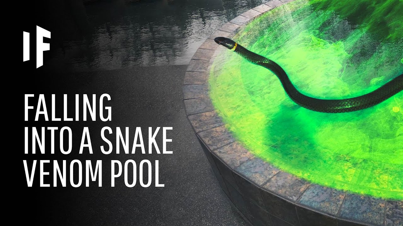 What happens if you fell into a pool filled with snake venom?