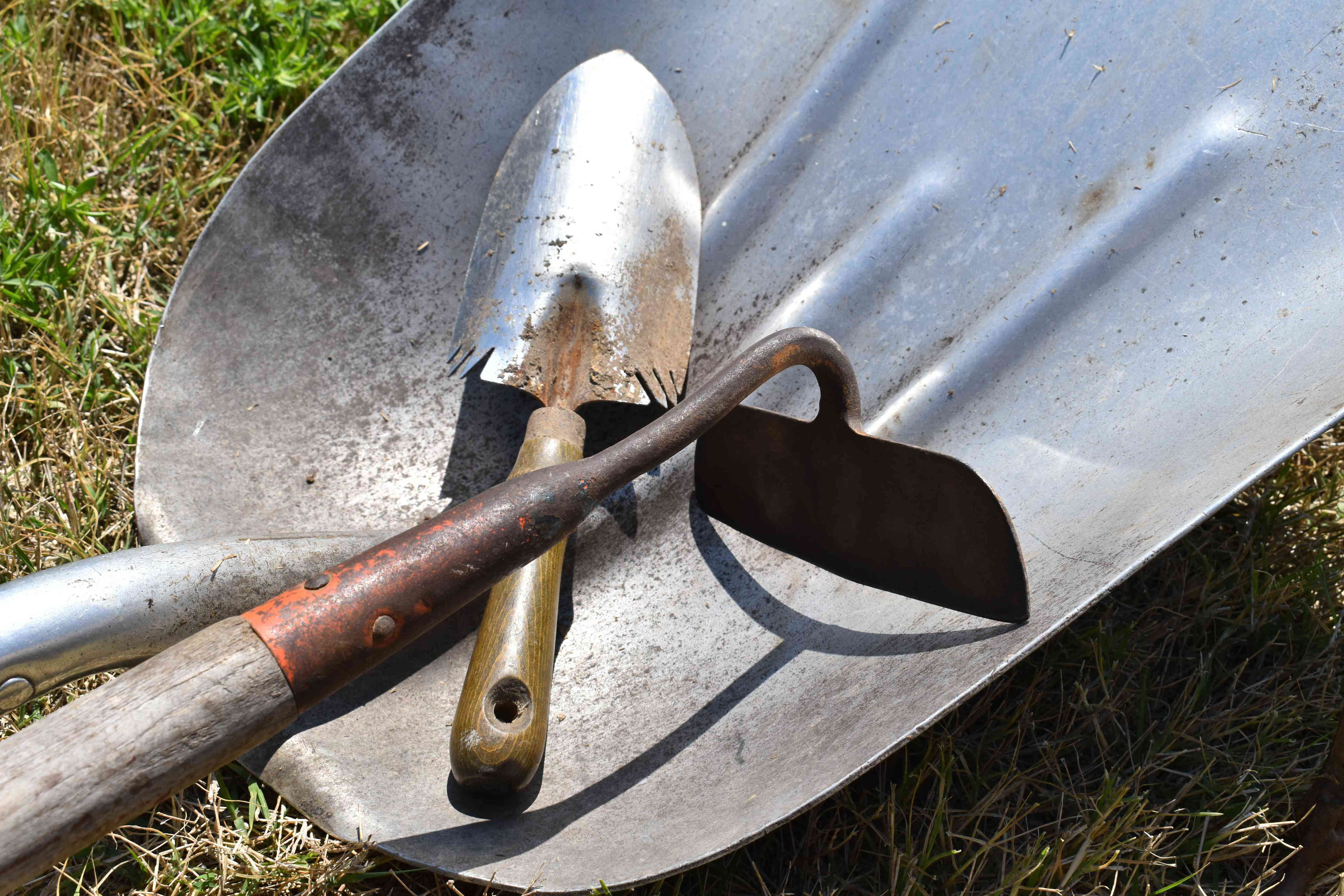 Garden Tools You Should Toss Right Now, According To A Pro