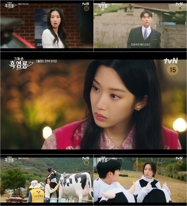 문가영, 최현욱 들었다놨다하는 연상 여신…직진 돌직구 시작(흑염룡)