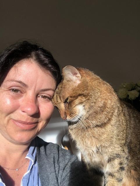 Charismatic cat to be remembered with sculpture in city street - Susan ...