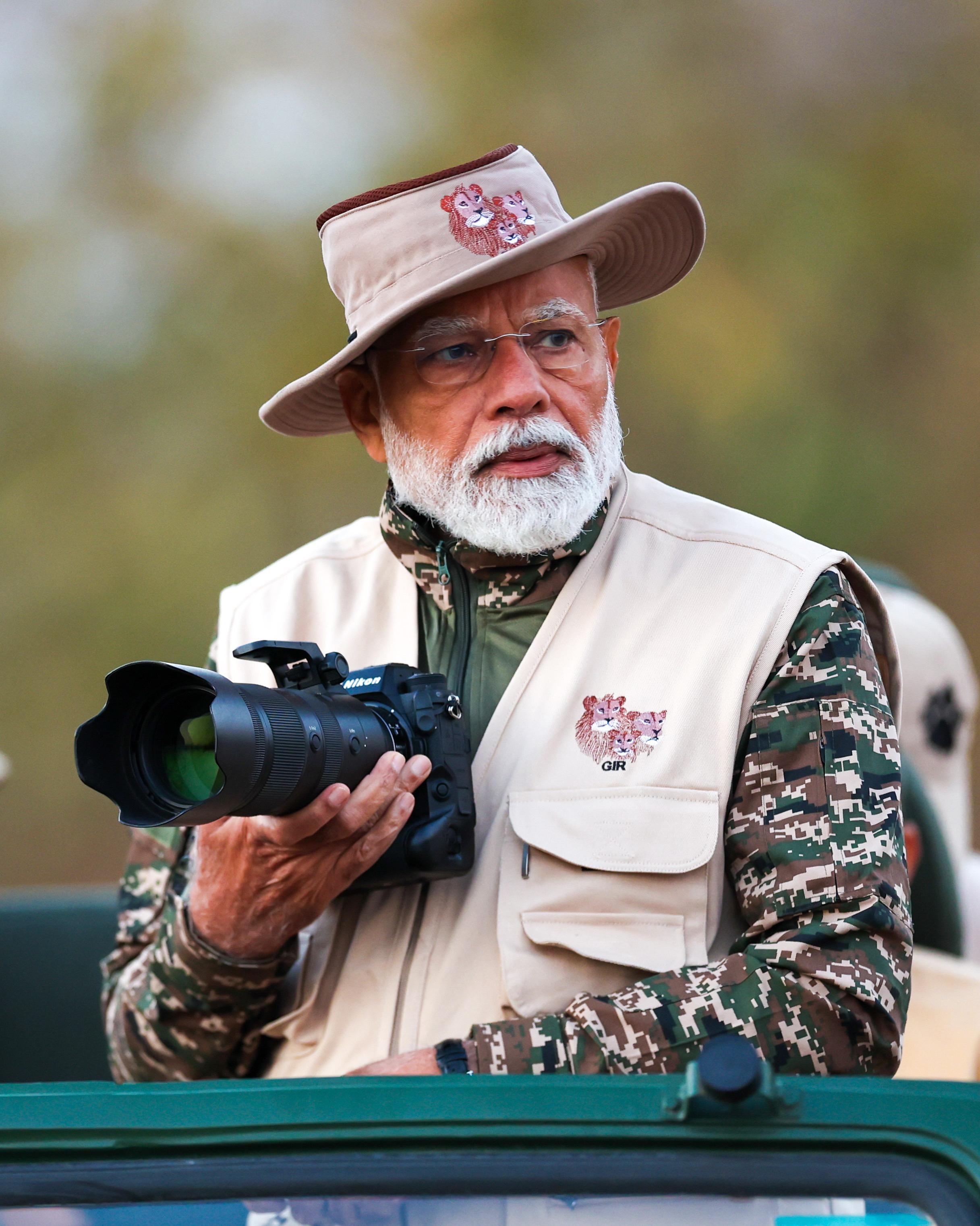 Lion safari, photography and wildlife: Stunning glimpses from PM Modi's ...