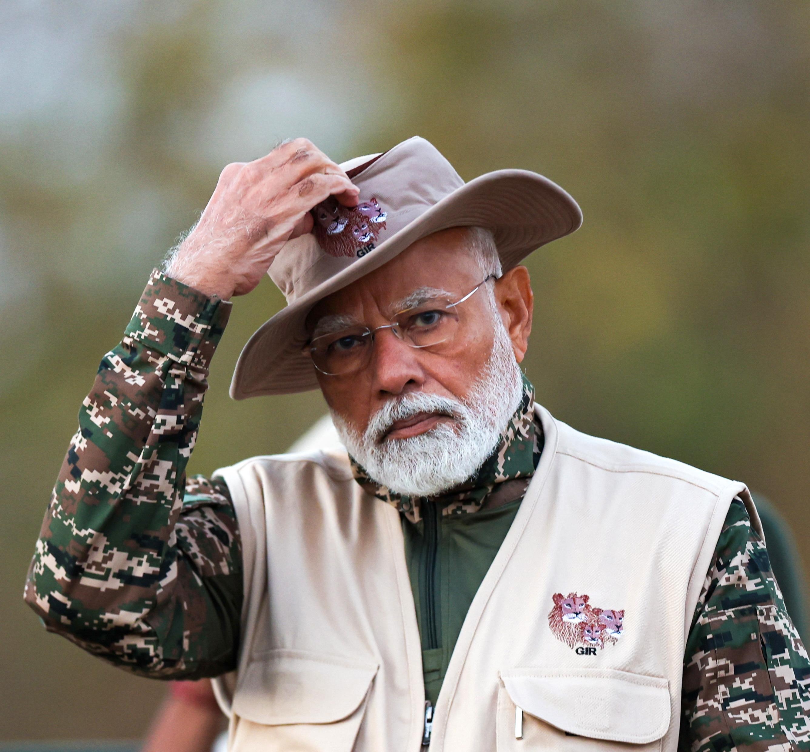 Lion safari, photography and wildlife: Stunning glimpses from PM Modi's ...