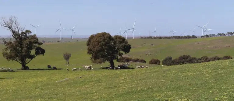 Australia OKs Tilt Renewables’s wind energy project