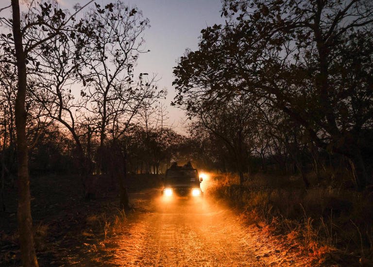 Lion safari, photography and wildlife: Stunning glimpses from PM Modi's ... Lion safari, photography and wildlife: Stunning glimpses from PM Modi's ...