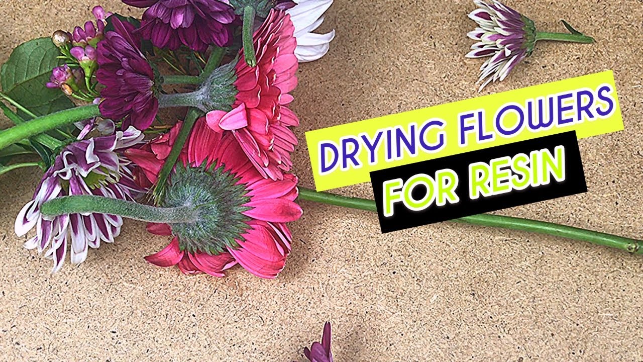 How to Dry Flowers for Resin Projects – Easy & Long-Lasting Method!