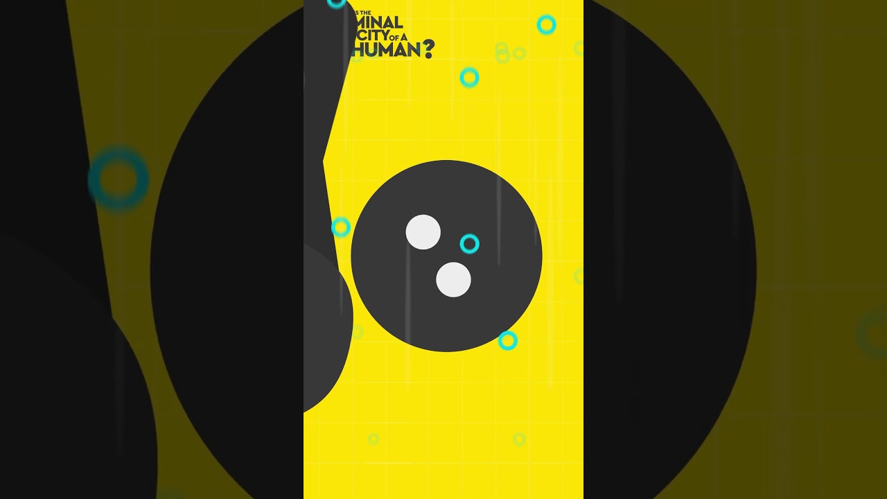 What’s the Terminal Velocity of a Human Body?