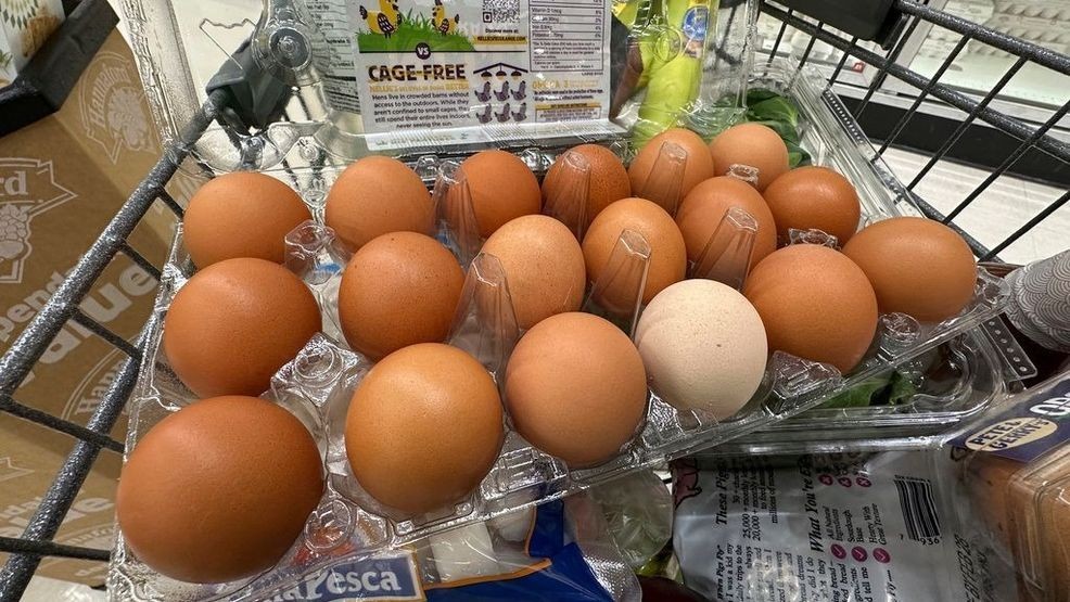 As egg prices soar due to bird flu, some local businesses delay passing ...