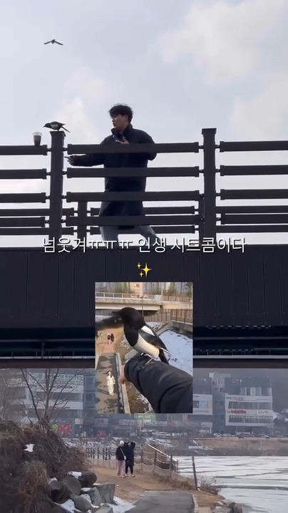 Bird Follows Girl and Tries to Play