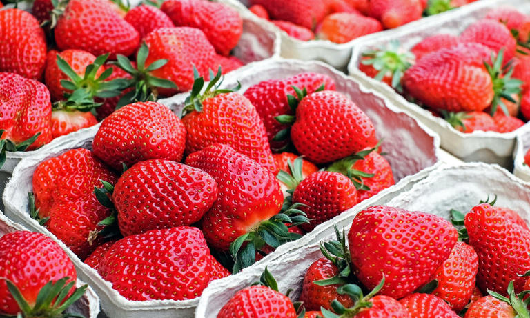 Record low prices for Chinese strawberries in Vietnam
