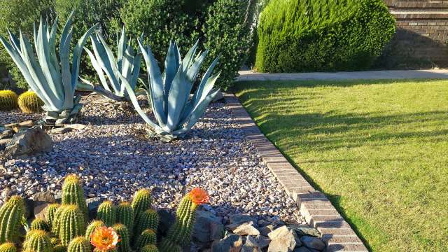 Homeowner baffled by harsh restrictions on what they can do with their ...