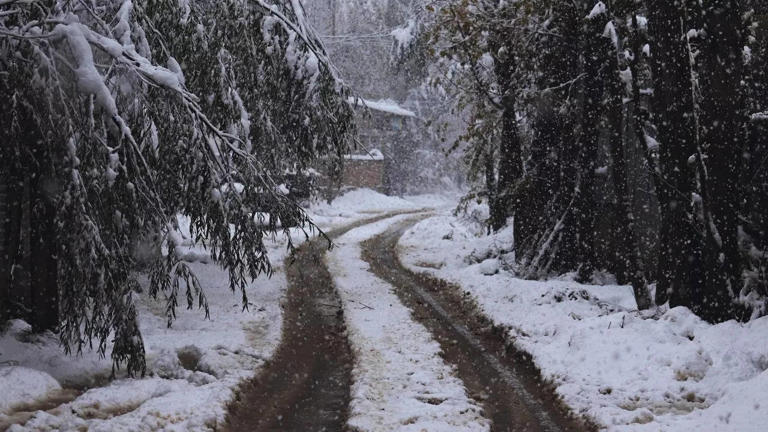 Jammu and Kashmir weather report: Extreme cold and snowfall continue to ...