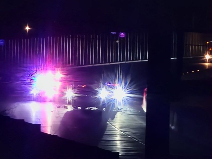 Coroner identifies driver killed in I-69 crash