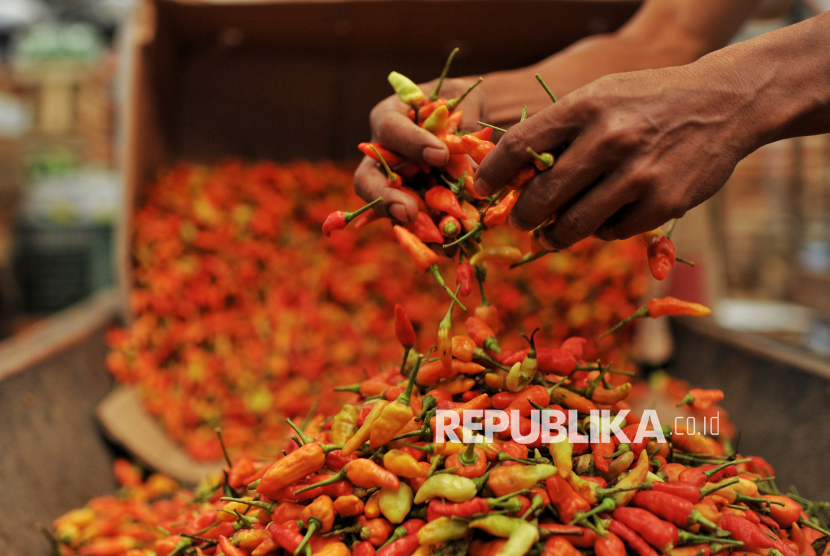 Makin pedas, harga cabai di Semarang tembus Rp80 ribu per kilogram