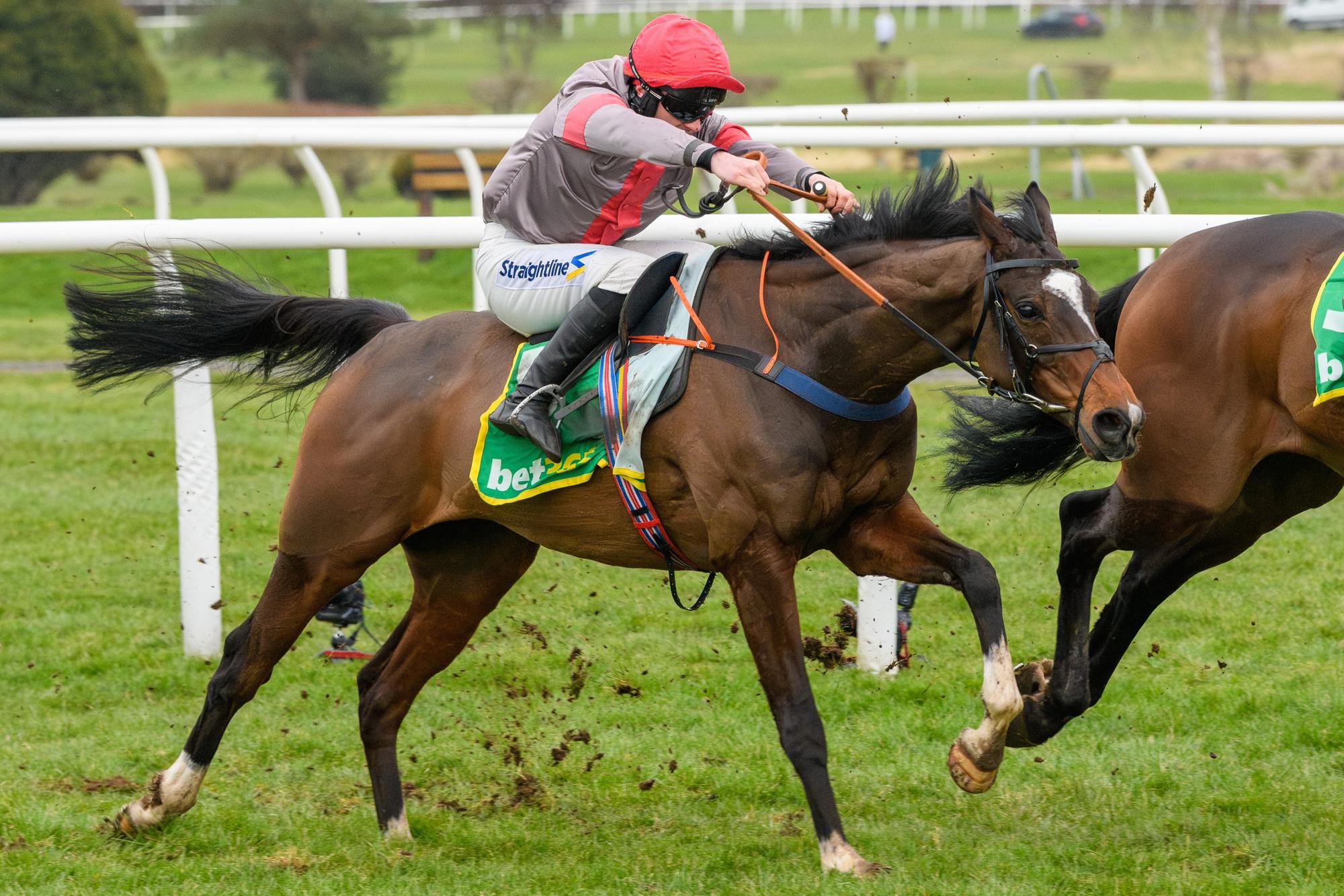 Hawick racehorse trainer Ewan Whillans racks up back-to-back wins in ...
