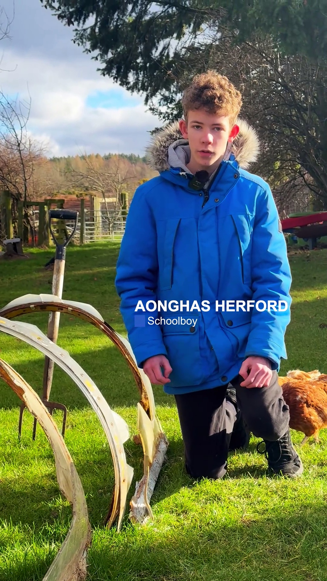 Teen Finds WW2 Plane in Backyard