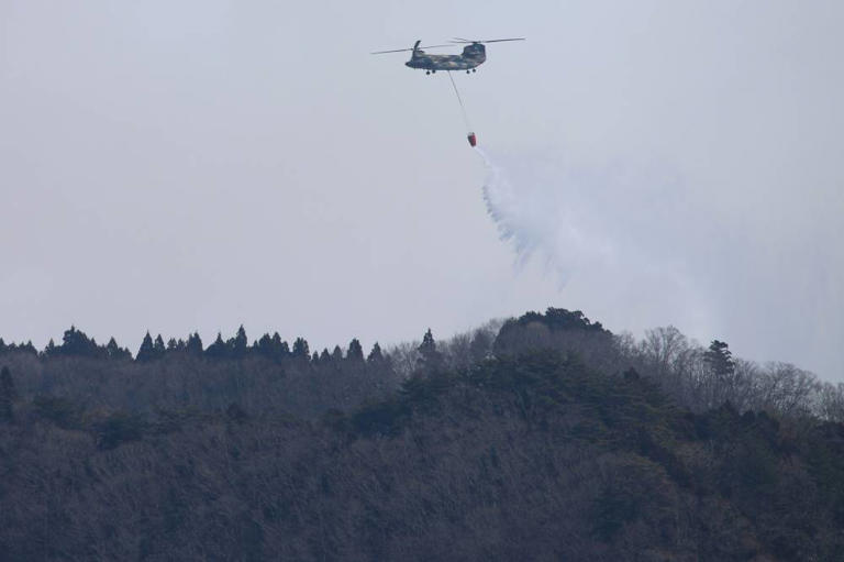 Japan's biggest wildfire in decades rages in Iwate, homes at risk