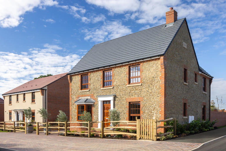 West Sussex housebuilder’s first half-year results reflect solid demand