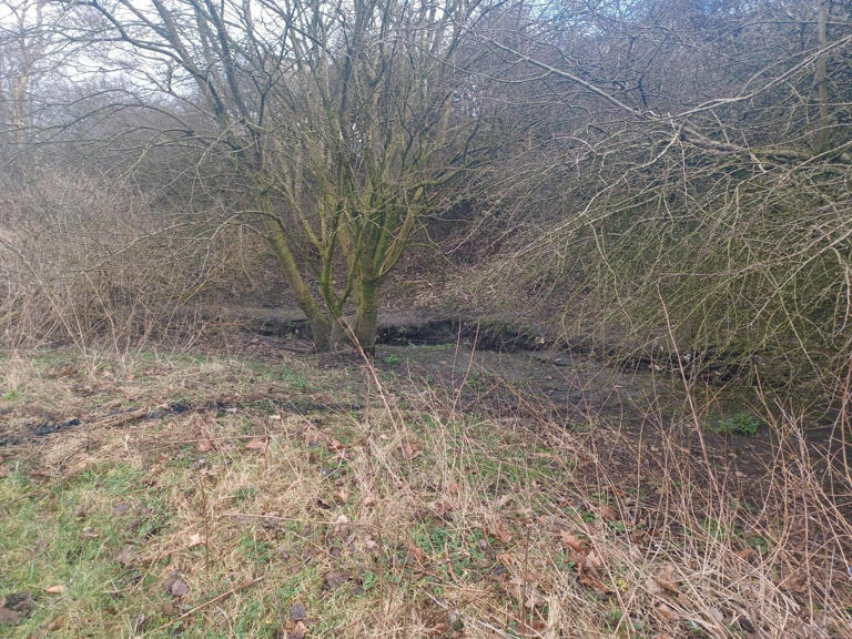 Calico and Burnley Council tackle estate waste in community clean-up