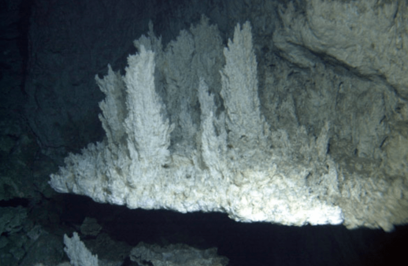 Life without oxygen: The mysterious microbes thriving in the Lost City ...