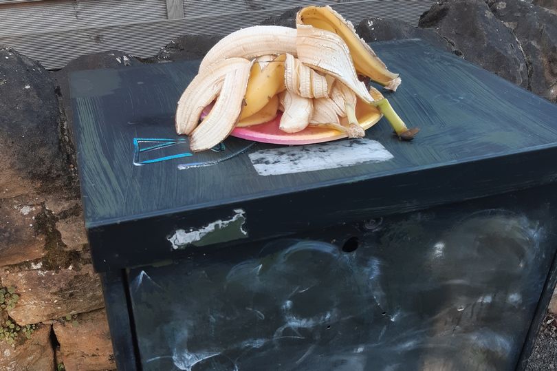 Beeston bananas turn up in new location as residents left flummoxed