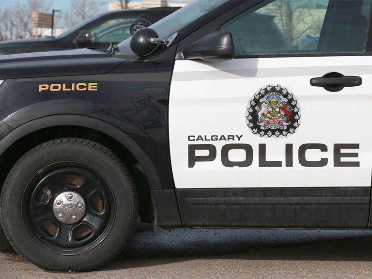 Man charged after police 'met with resistance' in Calgary parking lot