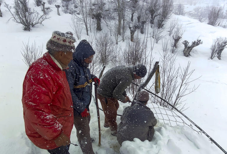 Mild snow in parts of Himachal, weather office predicts more precipitation