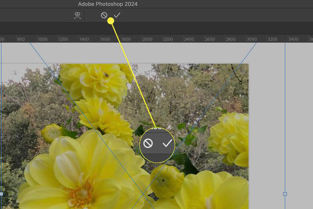 Resizing Layers in Photoshop: A Comprehensive Guide to Mastering the Basics