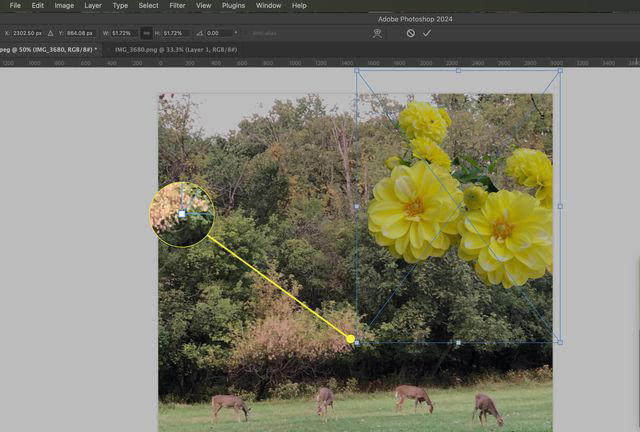 Resizing Layers in Photoshop: A Comprehensive Guide to Mastering the Basics