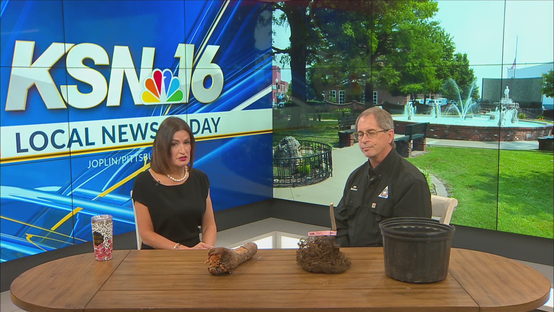 Jon Skinner, Community Forester, Missouri Department of Conservation