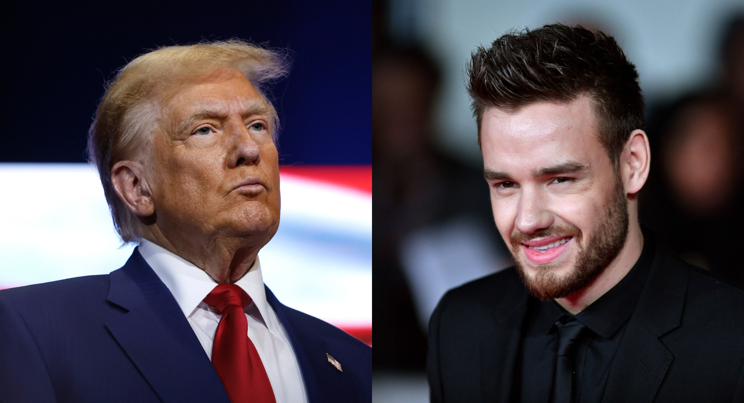 Découvrez les pages Wikipédia qui ont fait le buzz en 2024