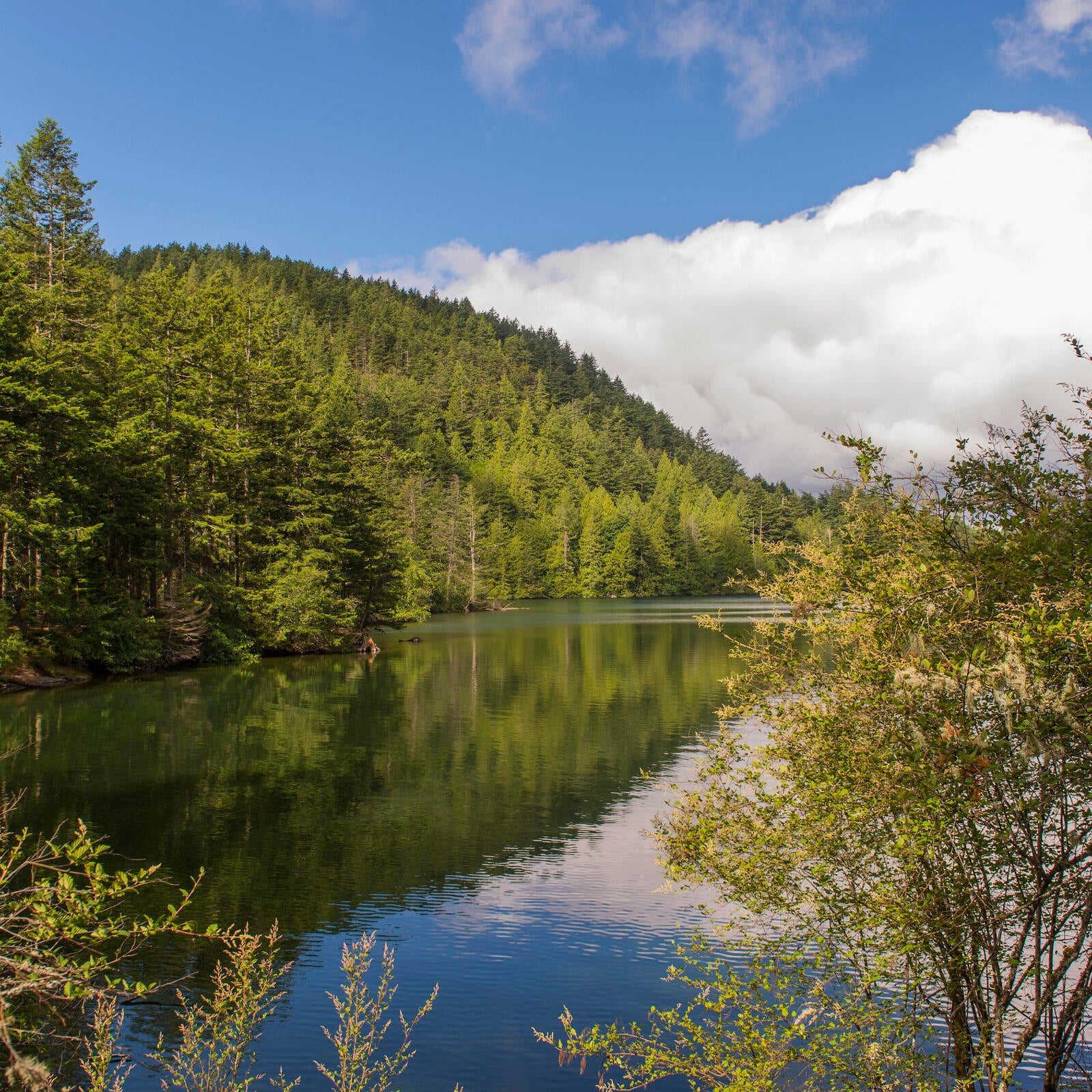 Earthquake strikes off Washington island northwest of Seattle