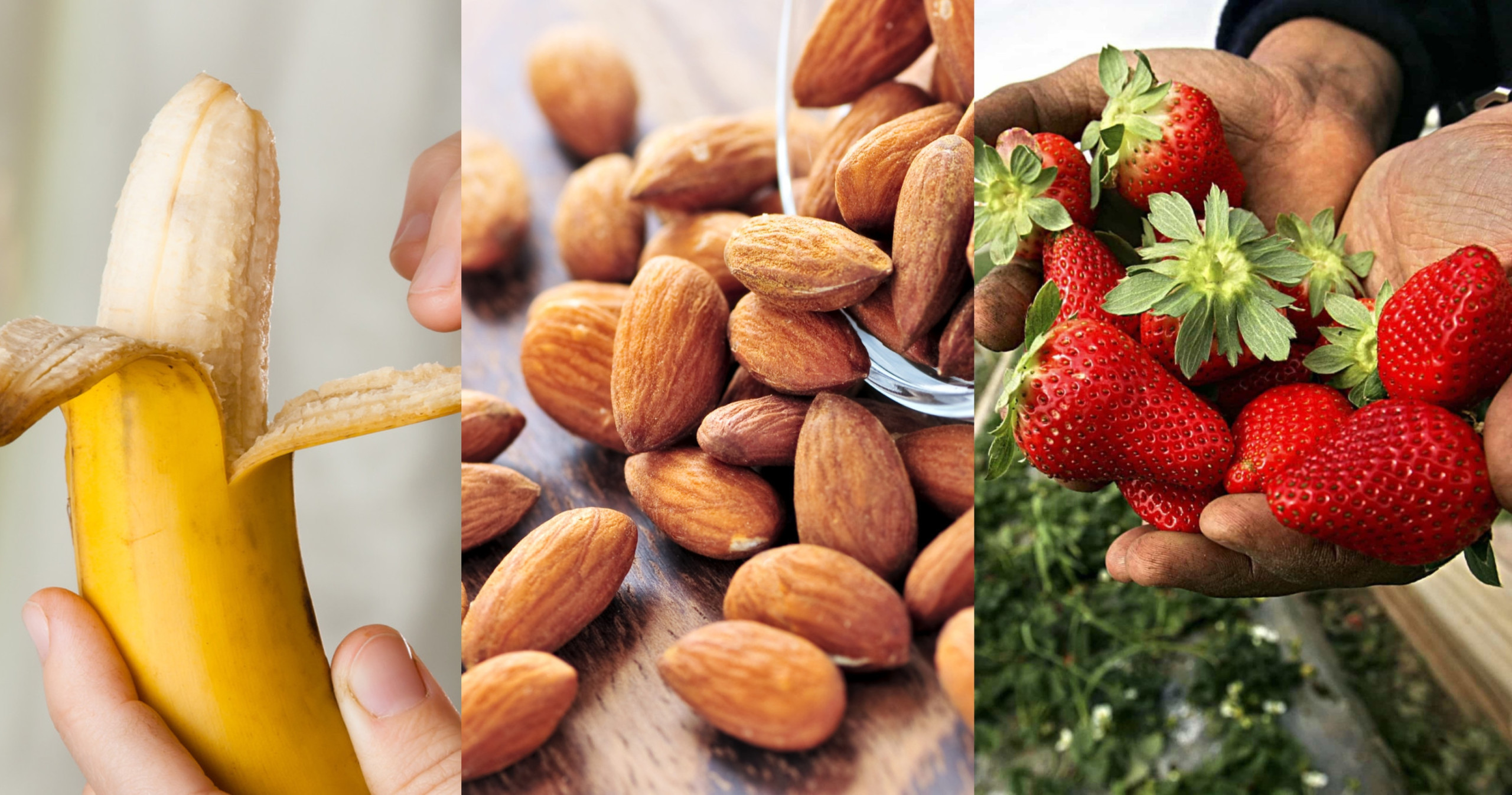 Comment la sélection artificielle a créé nos fruits et légumes du quotidien