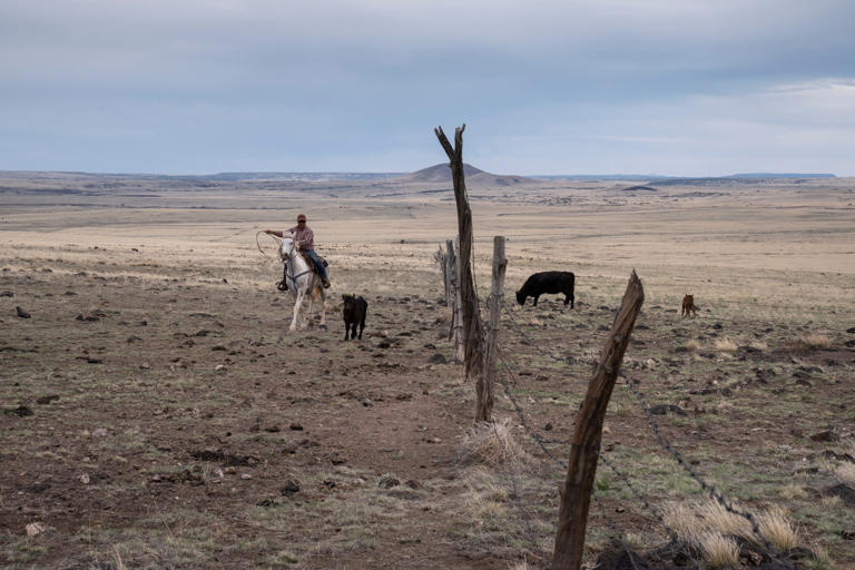 5 C's: For the Browns, cattle ranching is a family business, 'the best ...