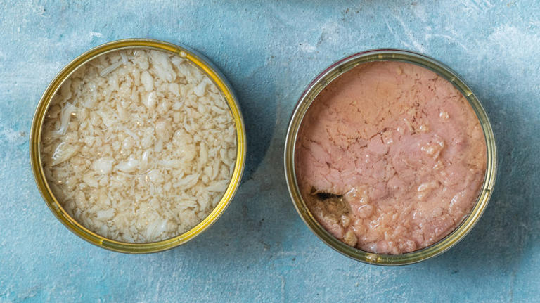 Albacore Vs Chunk Light Tuna: What's The Difference?