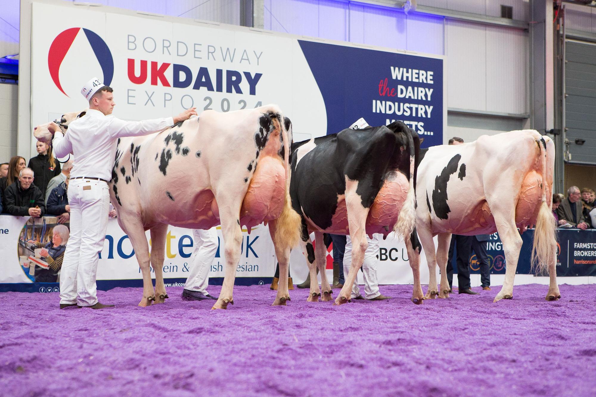 Borderway UK Dairy Expo 2025 Set to Showcase Top Dairy Genetics and ...