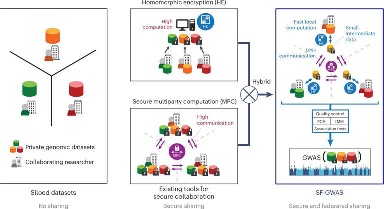 A new cryptography framework for secure genomic studies