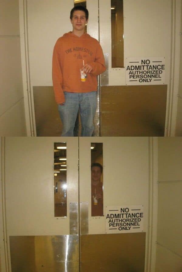 45+ Funny Pictures To Distract You From The Fact That It’s Monday ...